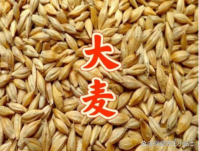大麦网8.7.0下载图标