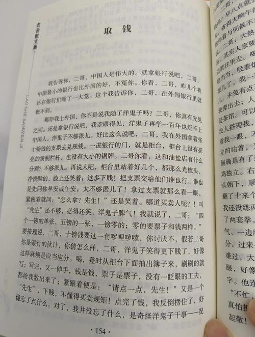 爱文者骗了多少书
