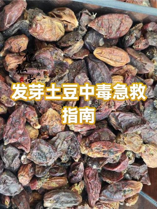 发芽土豆中毒死亡几率图标