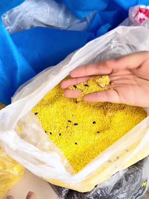 小米有虫怎么处理干净图标