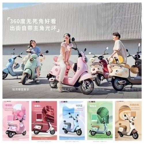 爱玛电动车使用说明书图标