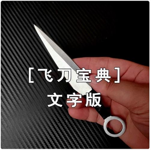扔飞刀的技巧图解图标