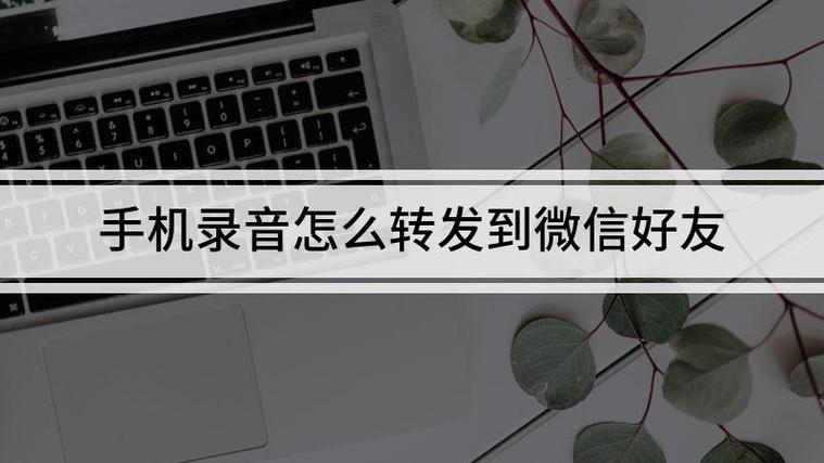 录音能转发到微信吗图标