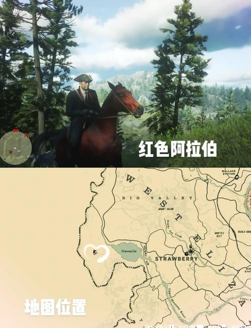 荒野大镖客2线上偷来的马图标