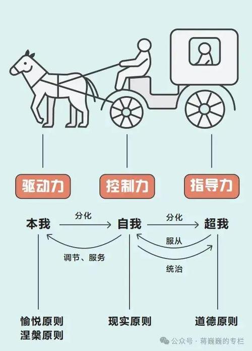 中分化是什么意思图标