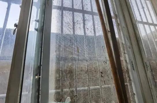 dyson吸尘器灰倒不出来图标
