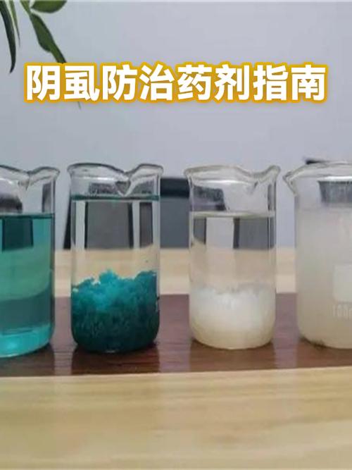 阴虱怎么来的图标