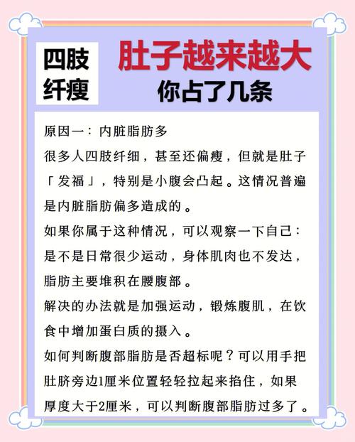 五十岁以后肚子为什么越来越大图标