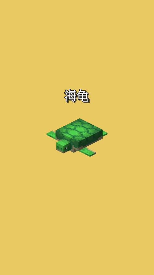 mc海龟壳图标