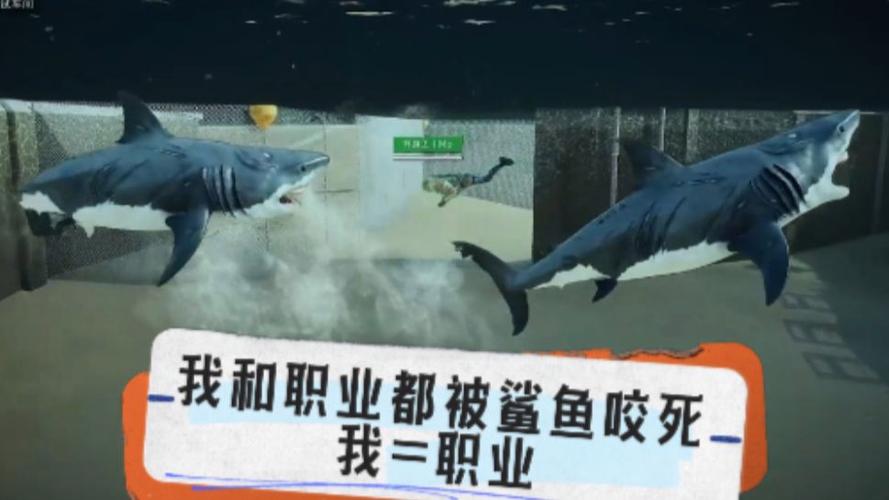 鲨鱼的职业经历图标
