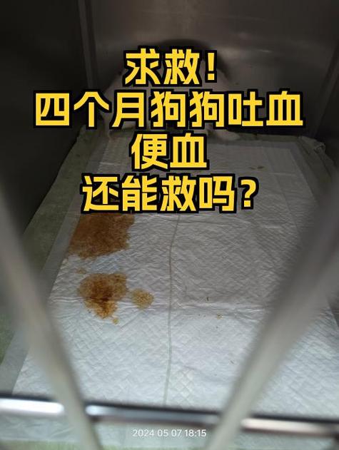 呕吐吐血是什么病的症状图标