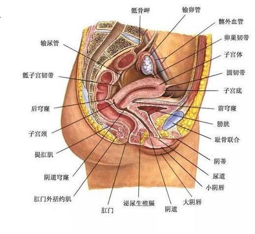 女性四门是指哪四个位置图标