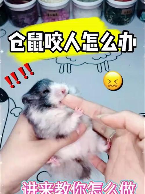 仓鼠饿了会咬人吗图标
