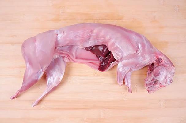 什么品种的兔子肉最好吃图标