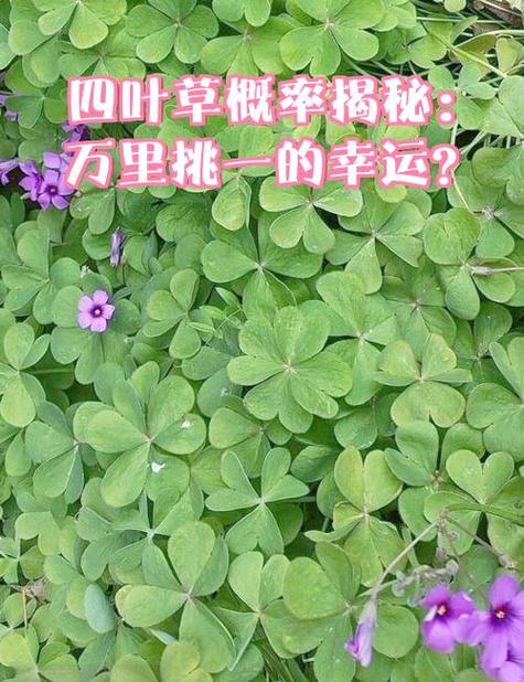 概率抽奖图标