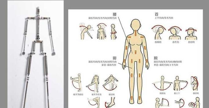 硅胶娃娃怎么玩才不费力气截图