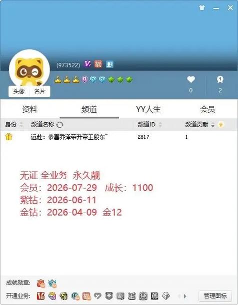yy直播怎么赚钱的