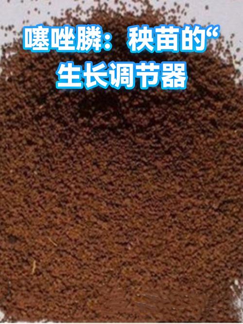 我的世界生长速度怎么调图标