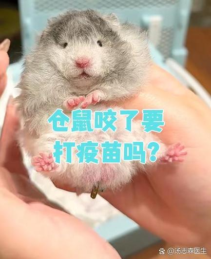 被仓鼠咬了要打狂犬疫苗吗图标
