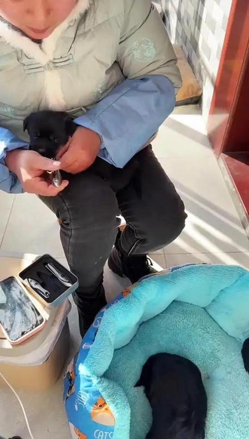直播间画面糊截图