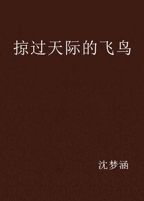 飞鸟的小说图标