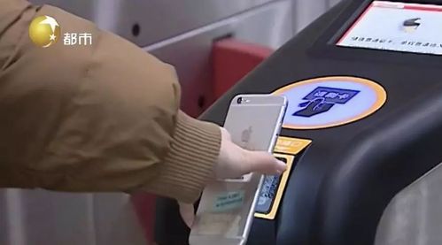 沈阳地铁乘车码截图