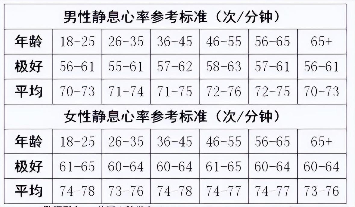 手表心率正常值范围是多少图标