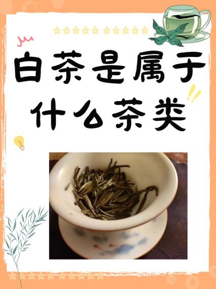 白茶属于什么茶图标