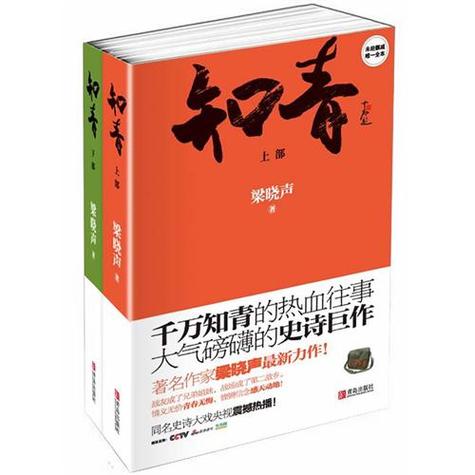 睡知青的小说图标
