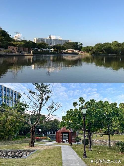 深圳旅行社排名前十名图标