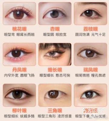 杏仁眼的特点图标