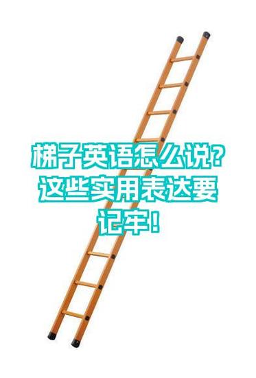 全局梯子什么意思