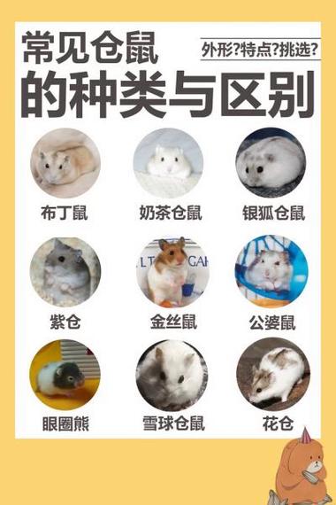 仓鼠是瞎子吗图标