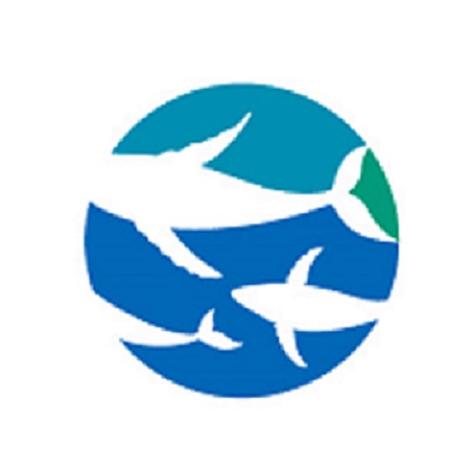 海蓝科技图标