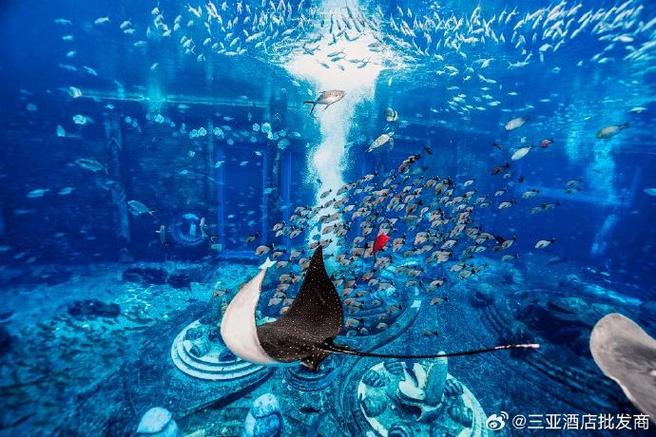三亚亚特兰蒂斯水族馆
