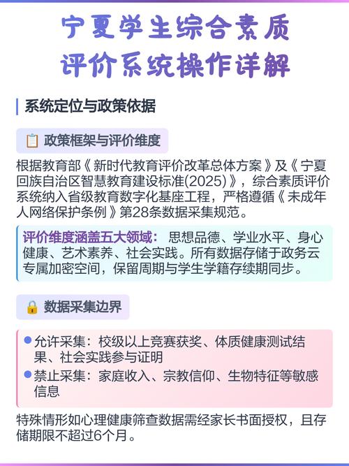 宁夏素质综合评价图标
