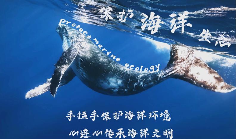 保护蓝鲸的公益广告语图标