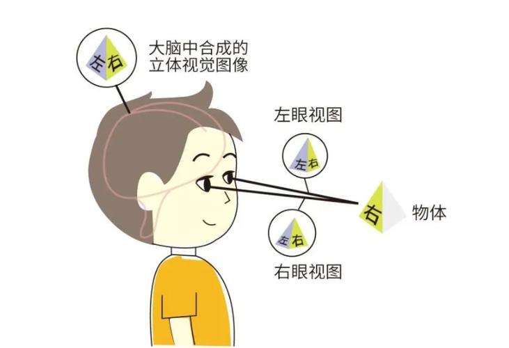 弱视视觉训练的方法图标