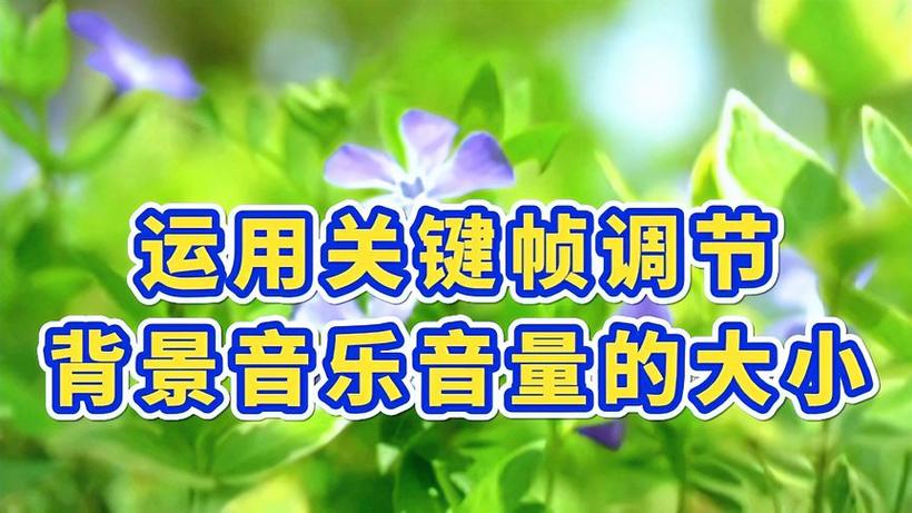背景音乐音量多大合适图标