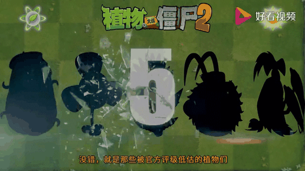 pvz账号丢了怎么办图标