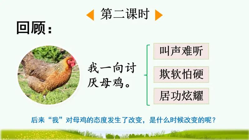 《母鸡》教学视频图标