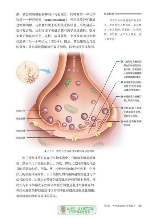 高中生物会学到女性生理吗截图