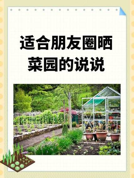 我家的菜园怎么形容截图