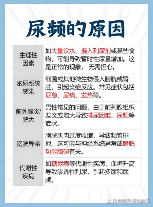 尿多屁多是什么原因男性截图