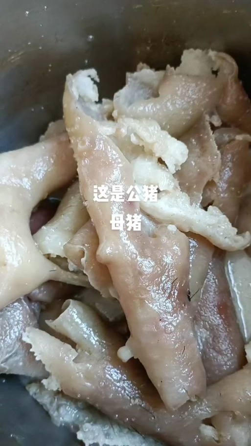 猪咪是什么意思图标