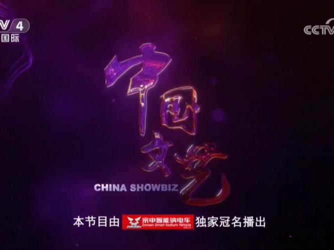 中国文艺2010第259期截图