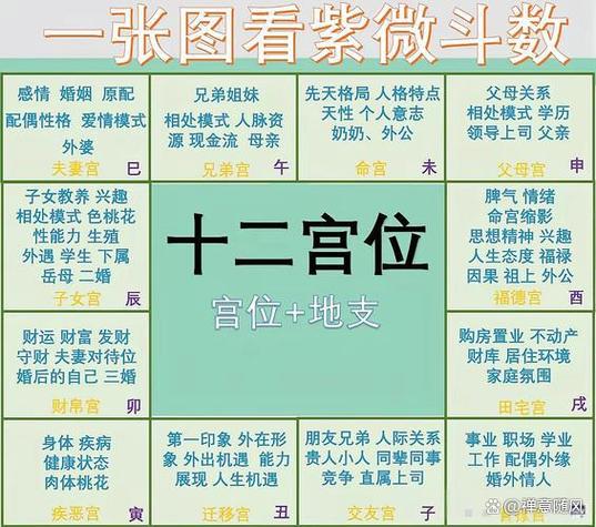 紫微命格截图