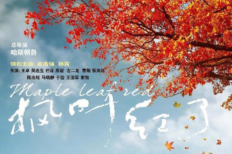 枫叶视频电视剧免费观看截图