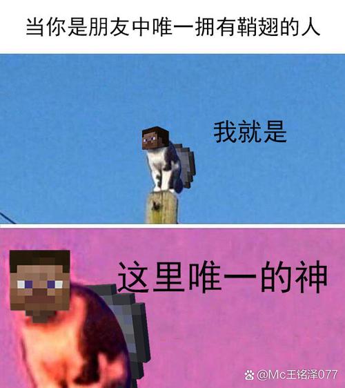 我的世界搞笑沙雕图截图