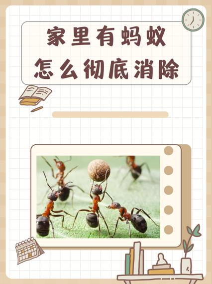 家里有蚂蚁怎么回事图标